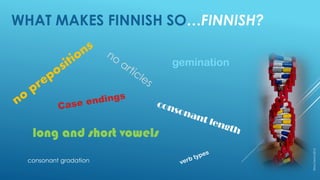What makes finnish so finnish | PPT