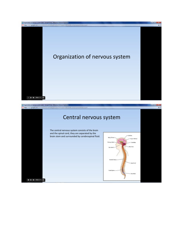 What makes me nervous 2 | PDF