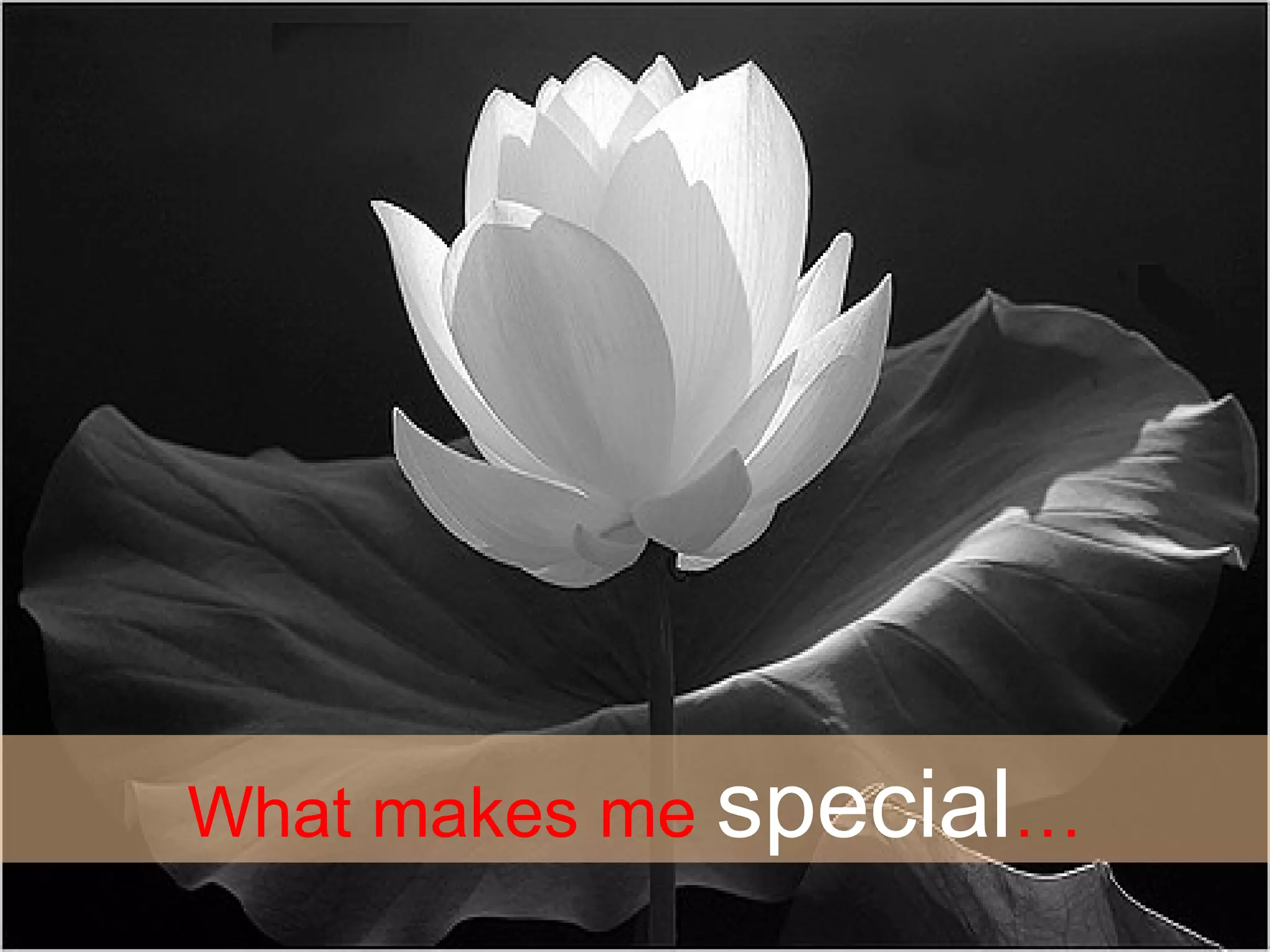 What Makes Me Special | PPT