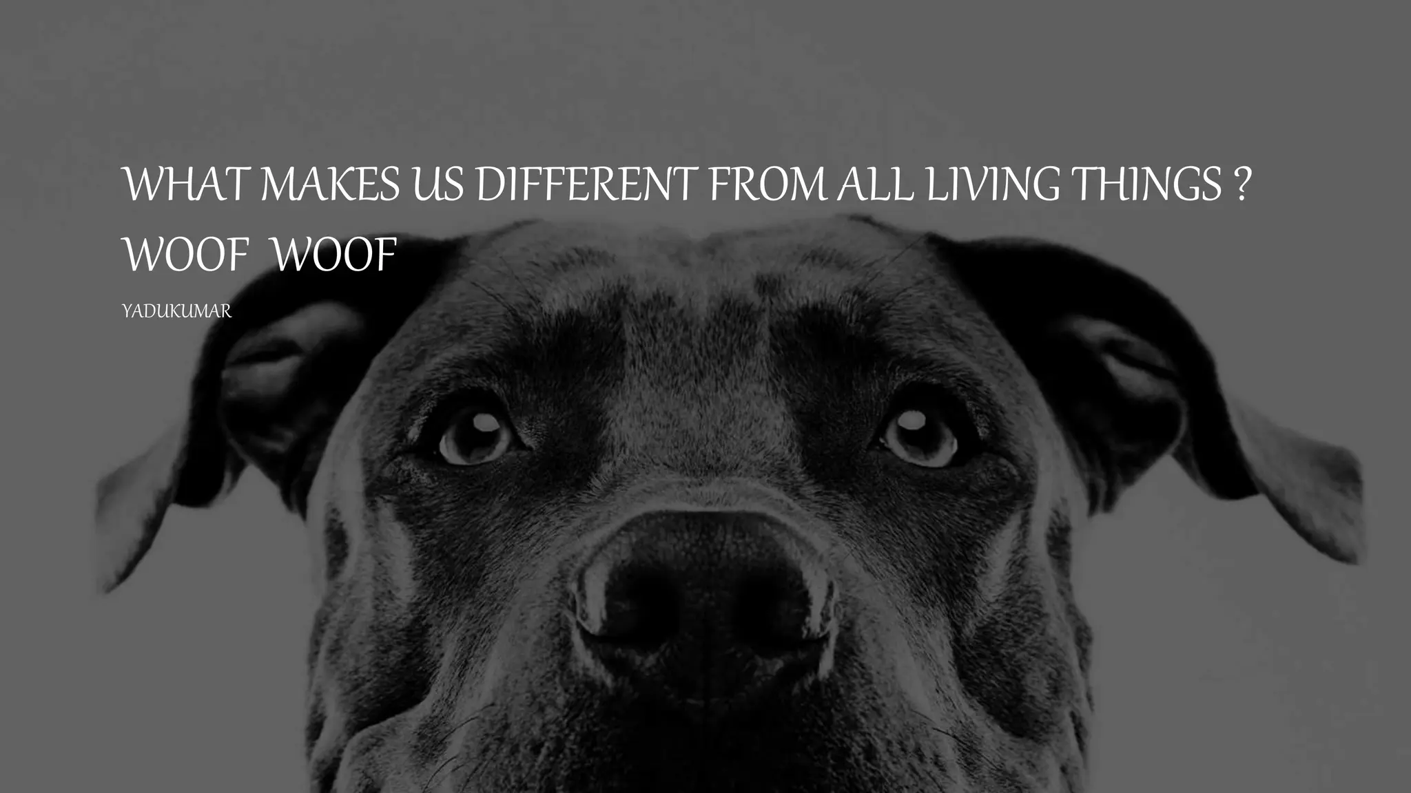 What makes us different from all living things.pptx
