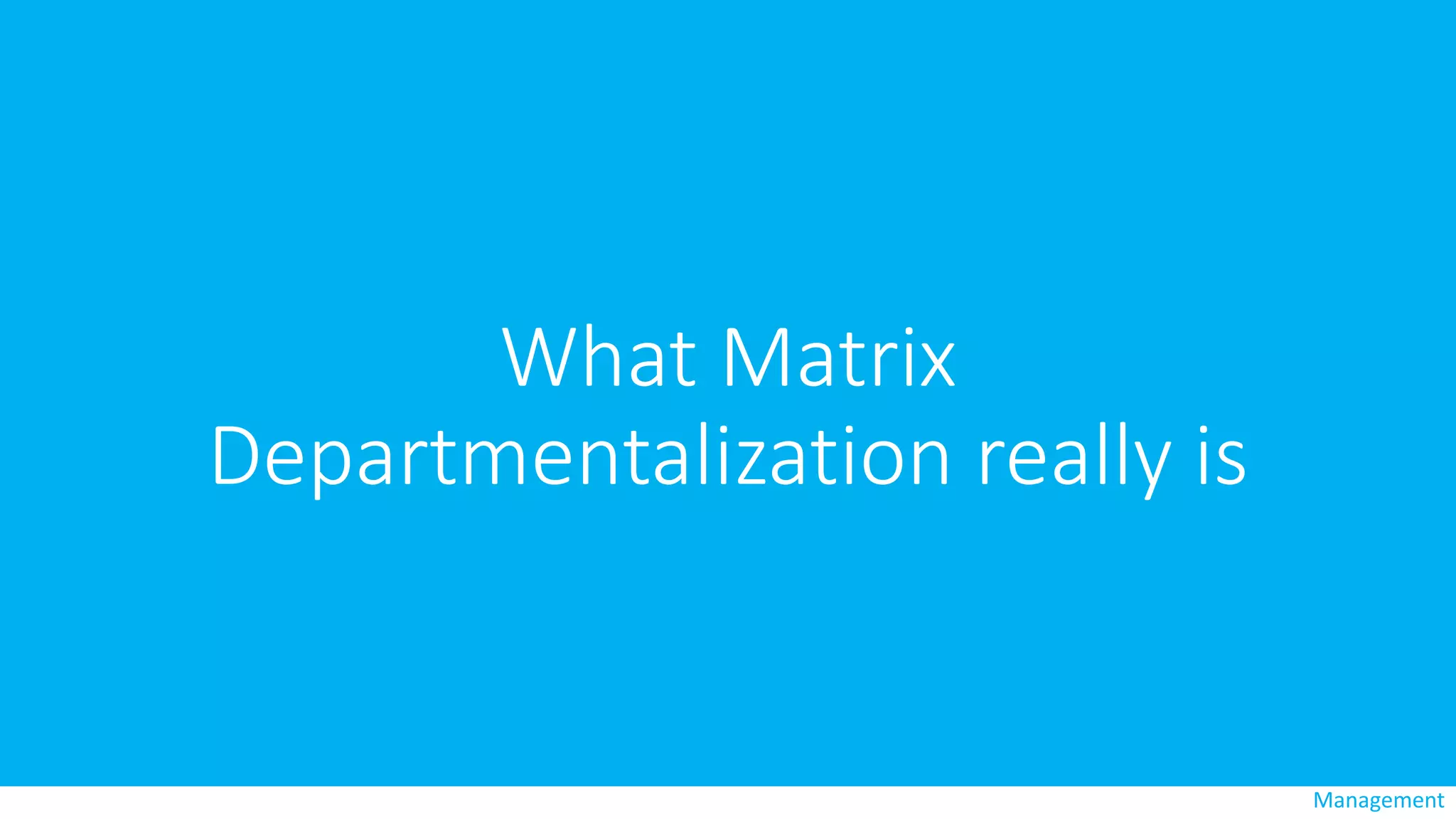 What matrix departmentalization really is | PPT