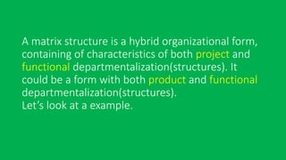What matrix departmentalization really is | PPT