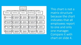 What matrix departmentalization really is | PPT