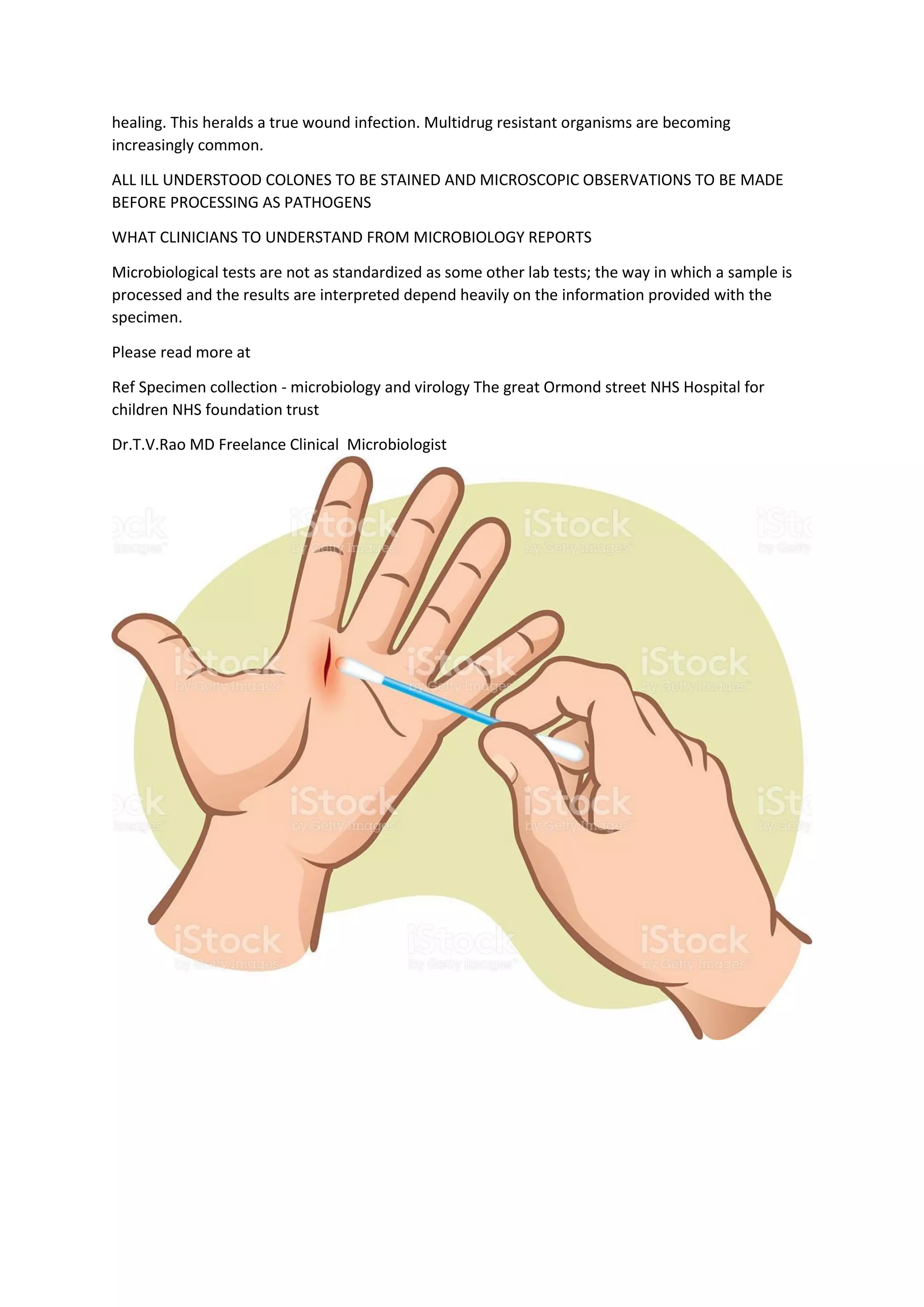 What microbiologists and clinicians should know about culturing wound ...