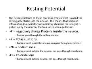 What neurons do, resting potential | PPTX