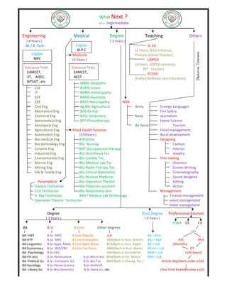 Education Paths | PDF