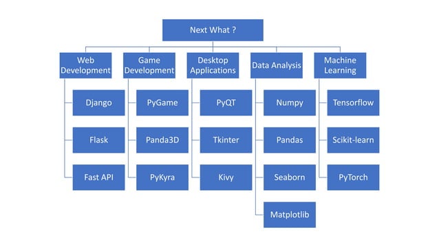 What next after learning python programming basics | PPT