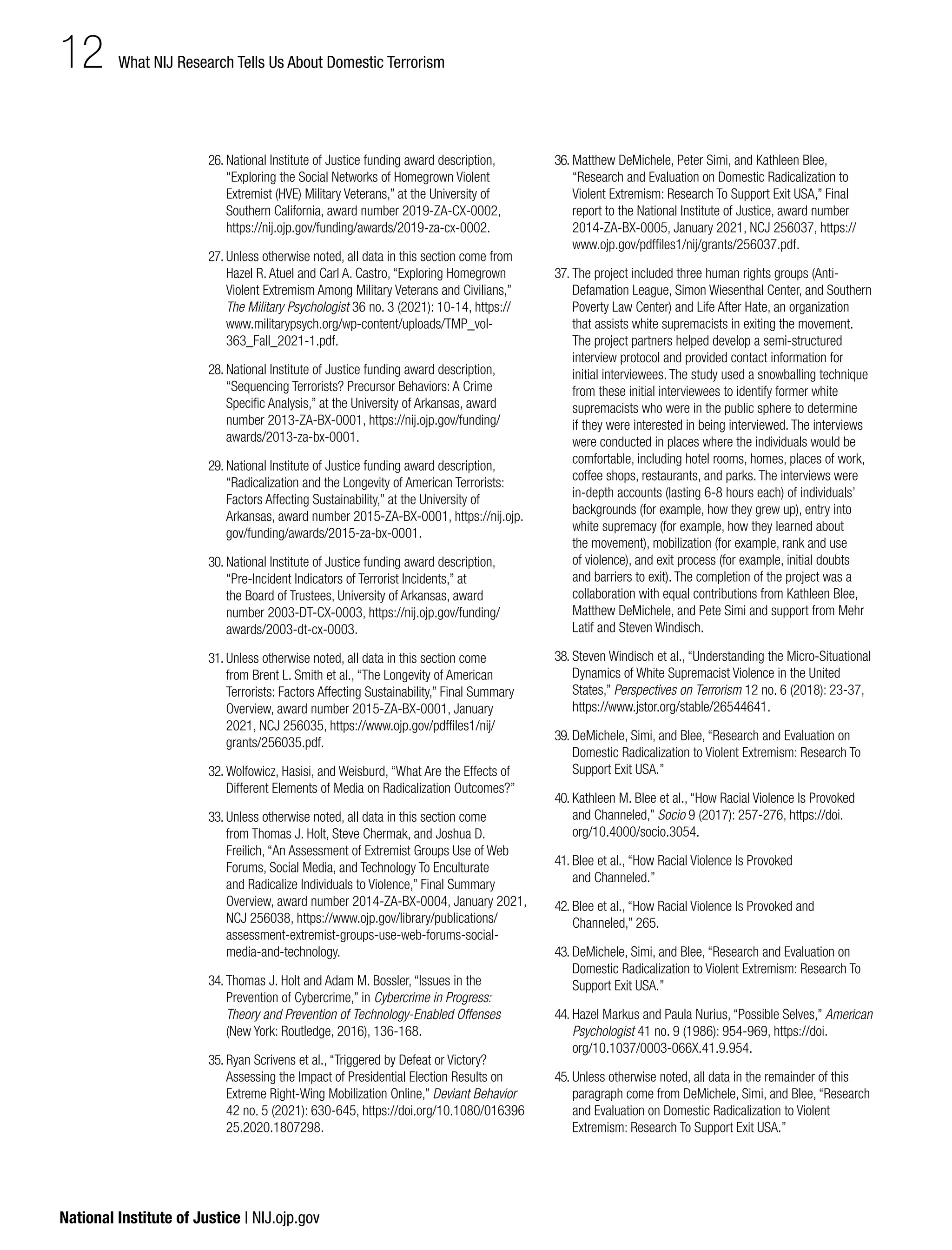 What NIJ Research Tells Us About Domestic Terrorism.pdf