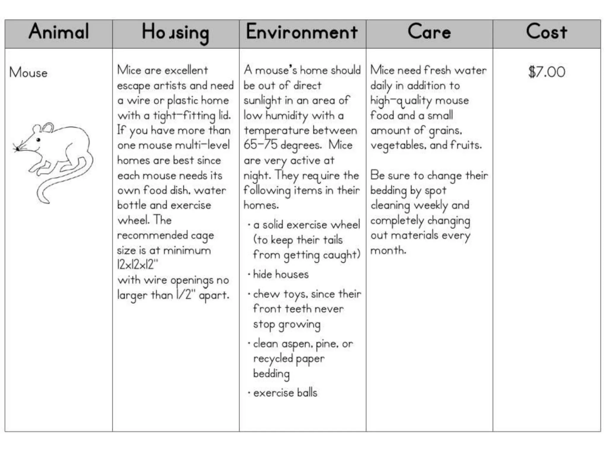 What Pet Should I Get MEA | PPT