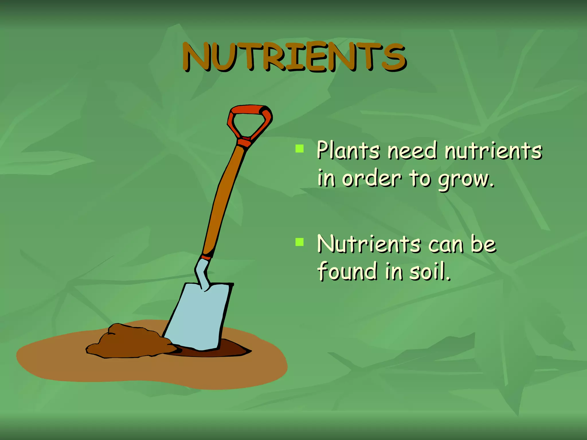 What plants need? | PPT