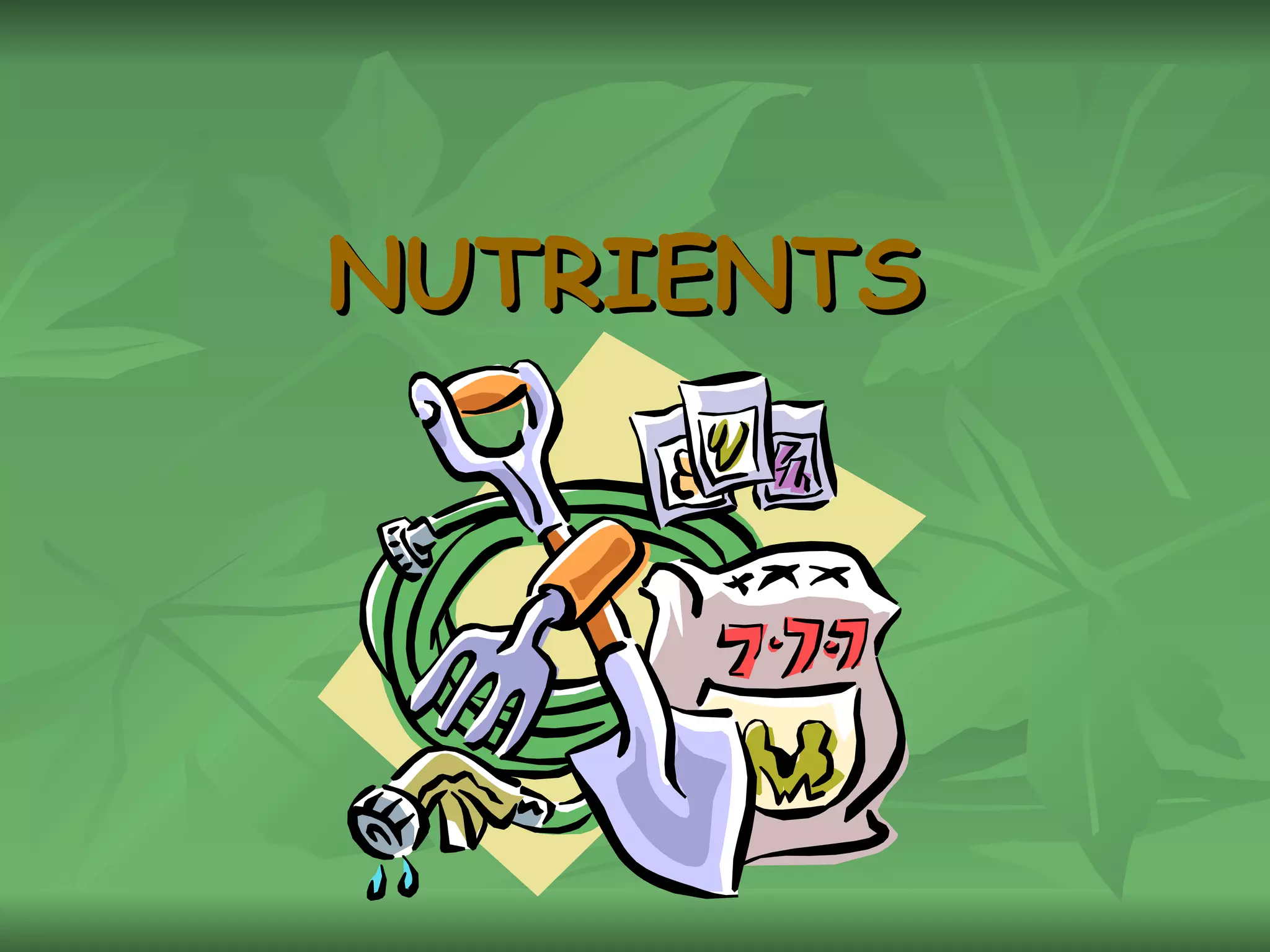 What plants need? | PPT