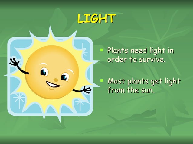 What plants need? | PPT