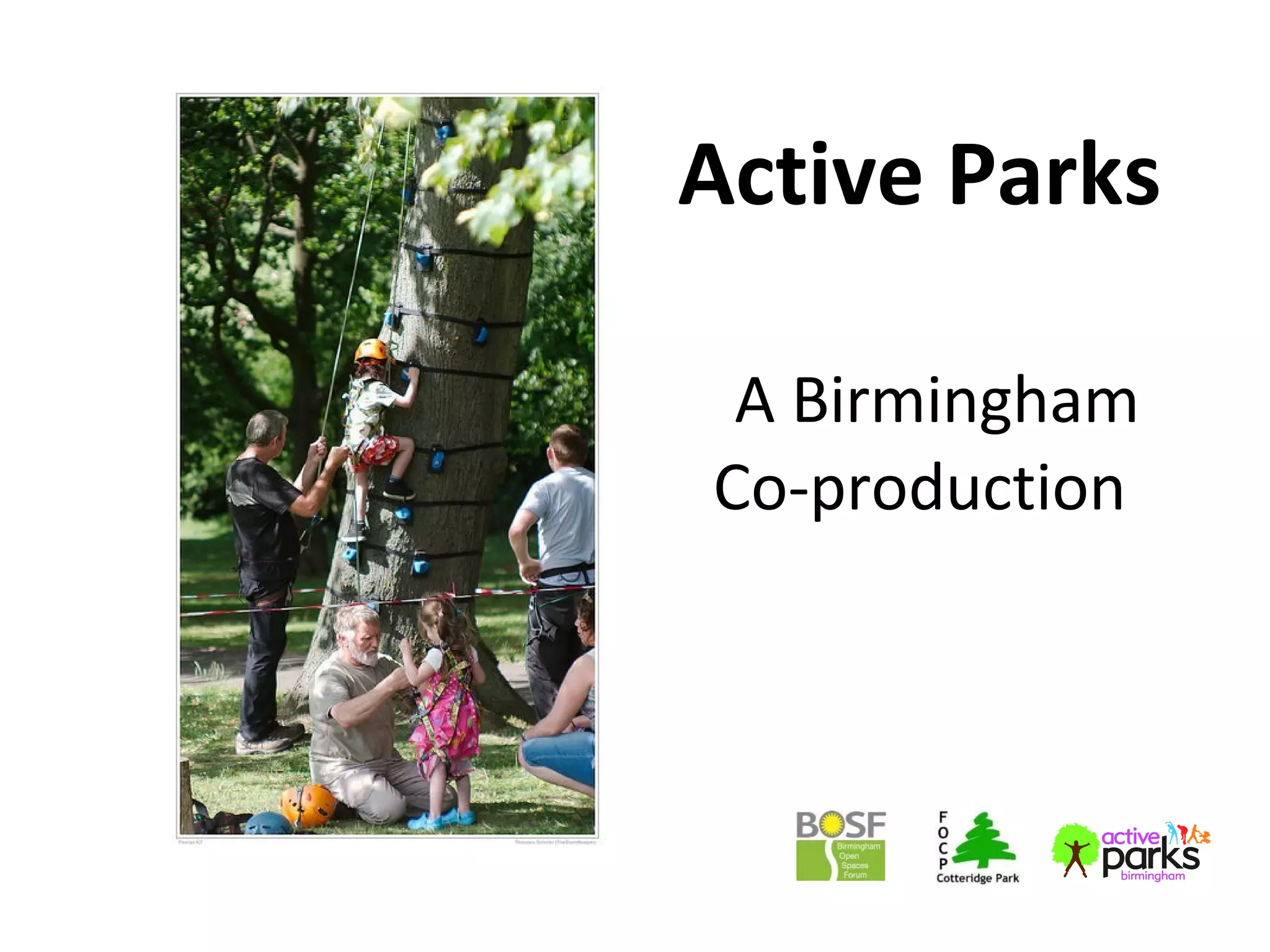 Volunteering and Community Based Physical Activity Programmes | PPT ...