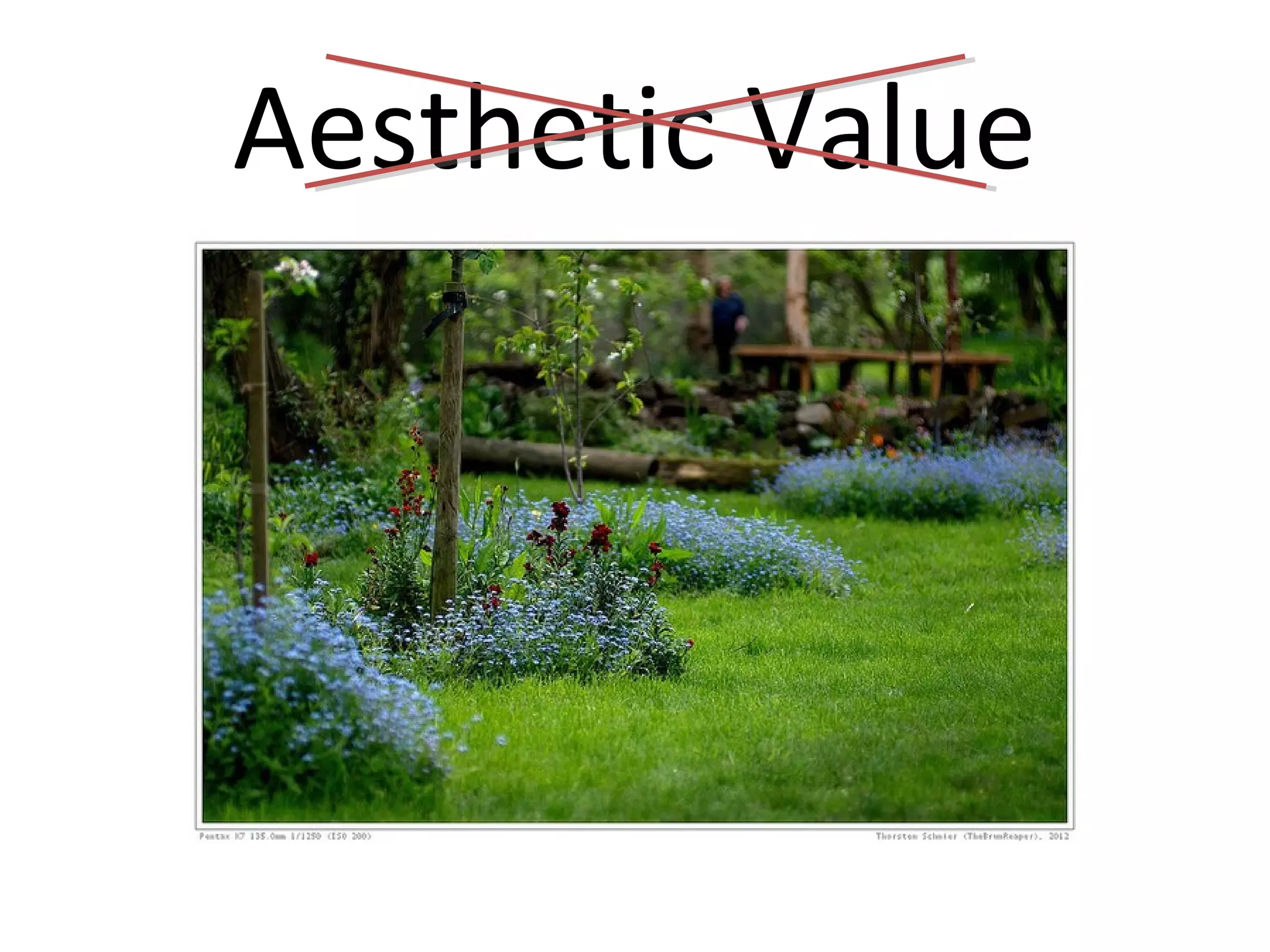 Volunteering and Community Based Physical Activity Programmes | PPT ...