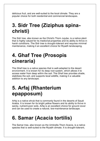 What Role Do Native Plants Play in Riyadh Landscaping.pdf