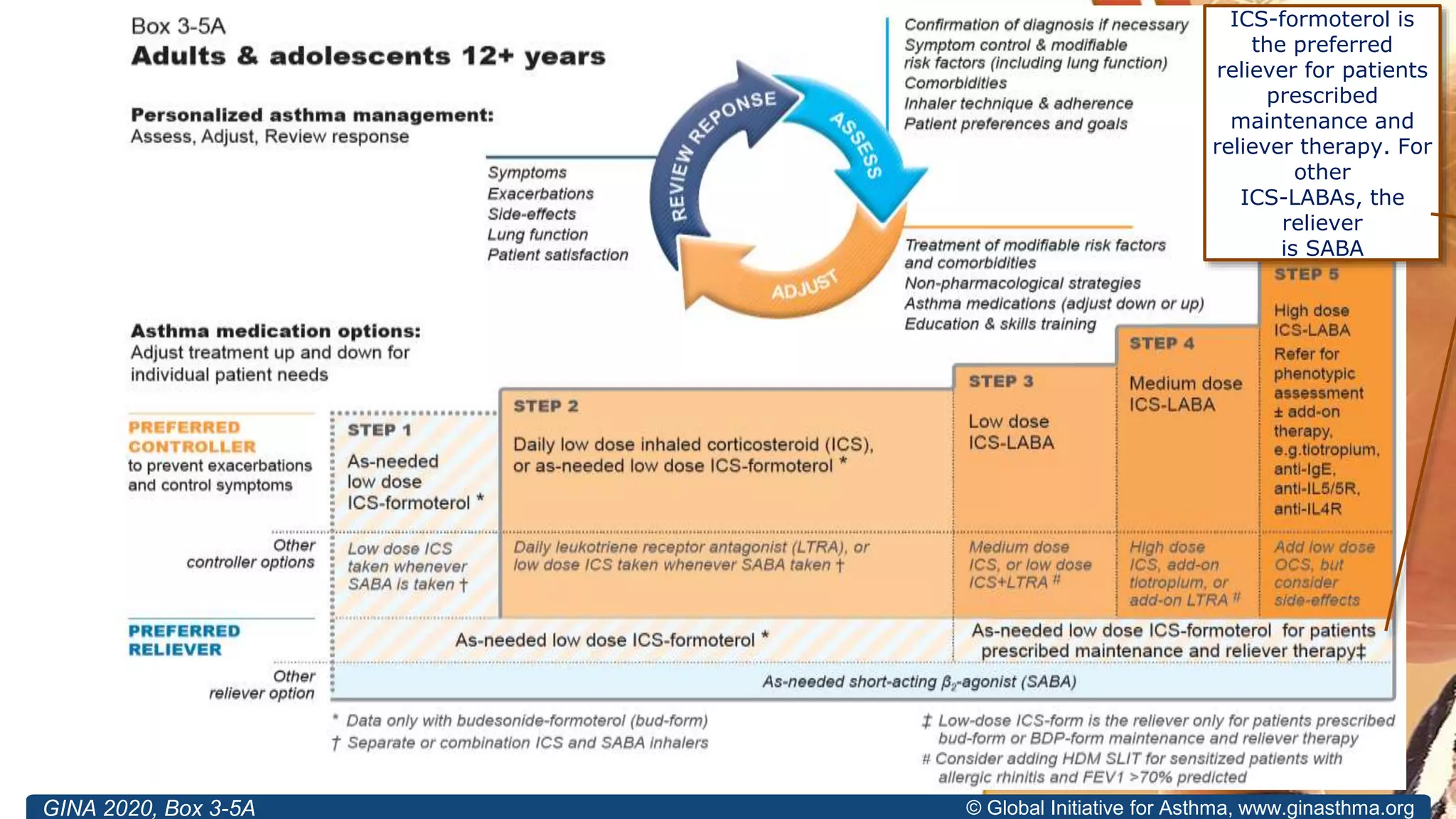 GINA 2020 Guidelines for Asthma | PPTX