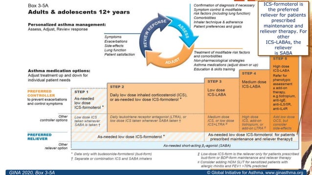 Gina 2020 Guidelines For Asthma Ppt