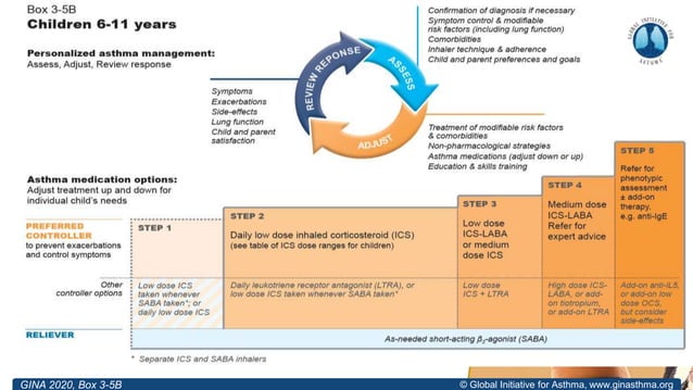 GINA 2020 Guidelines for Asthma | PPTX | Lung and Respiratory Health ...