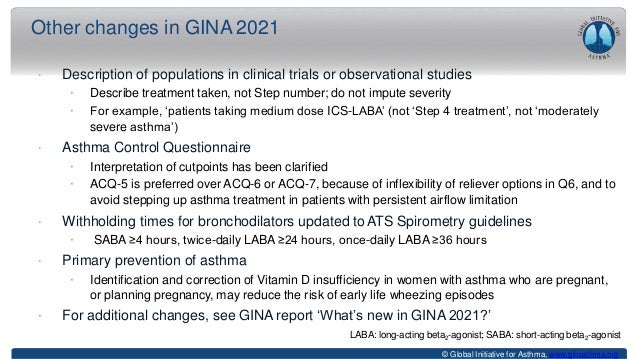 Whats-new-in-GINA-2021_final_V2.pptx