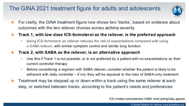 Whats-new-in-GINA-2021_final_V2.pdf