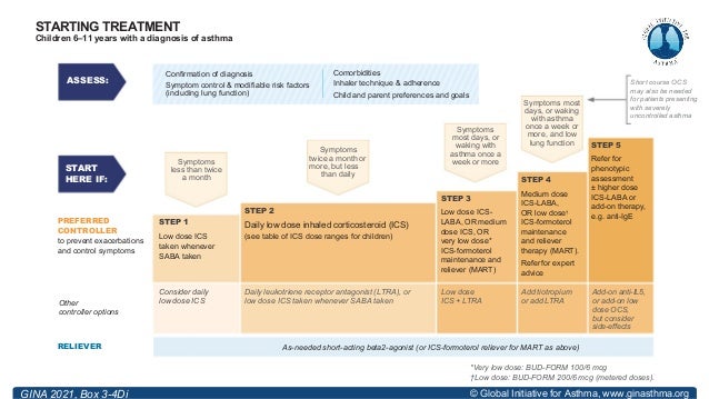 Whats-new-in-GINA-2021_final_V2.pdf