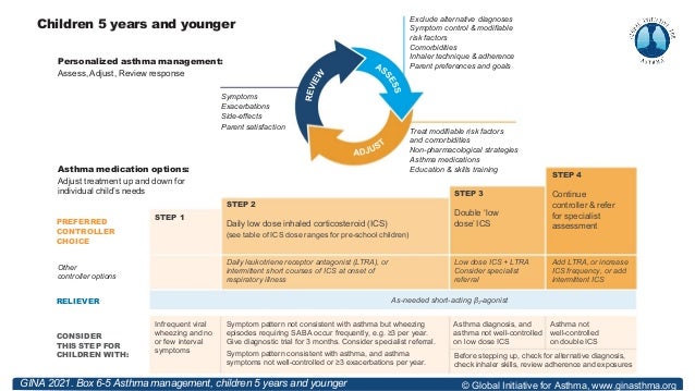 Whats-new-in-GINA-2021_final_V2.pdf