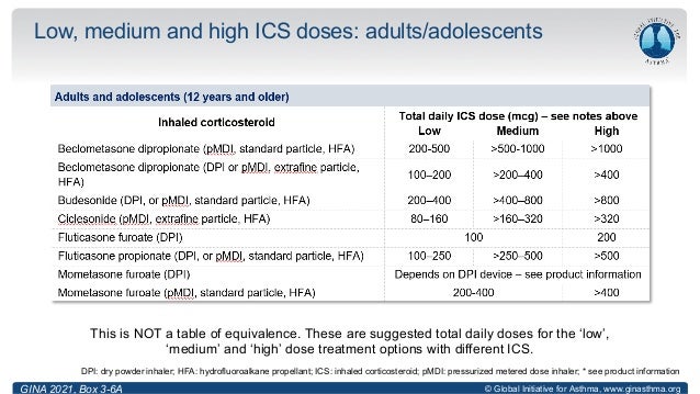 Whats-new-in-GINA-2021_final_V2.pdf