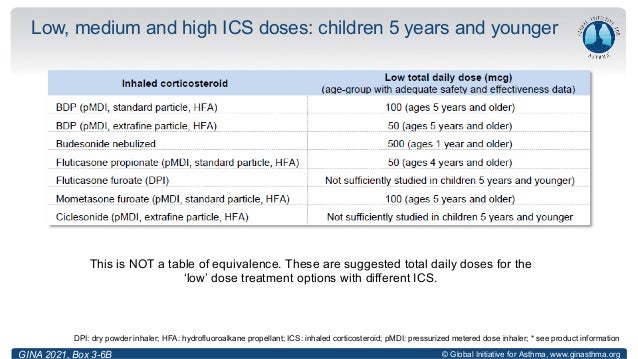 Whats-new-in-GINA-2021_final_V2.pdf