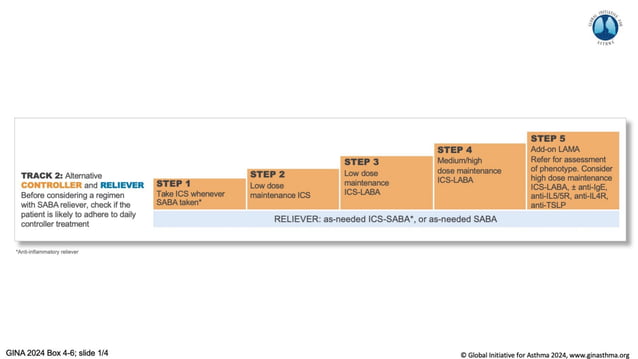 Whats-New-In-GINA-2024-Asthma guidelines.pptx