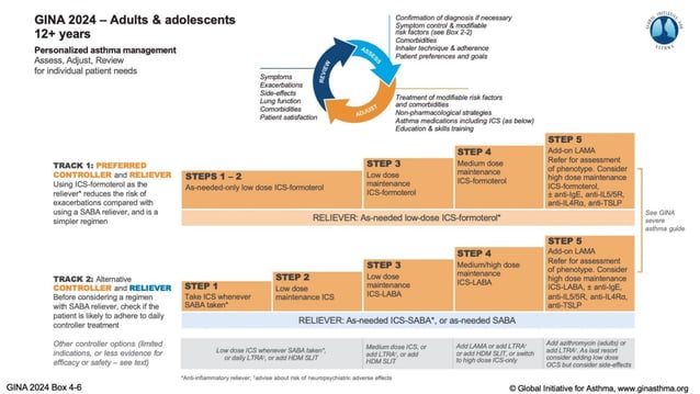 Whats-New-In-GINA-2024-Asthma guidelines.pptx
