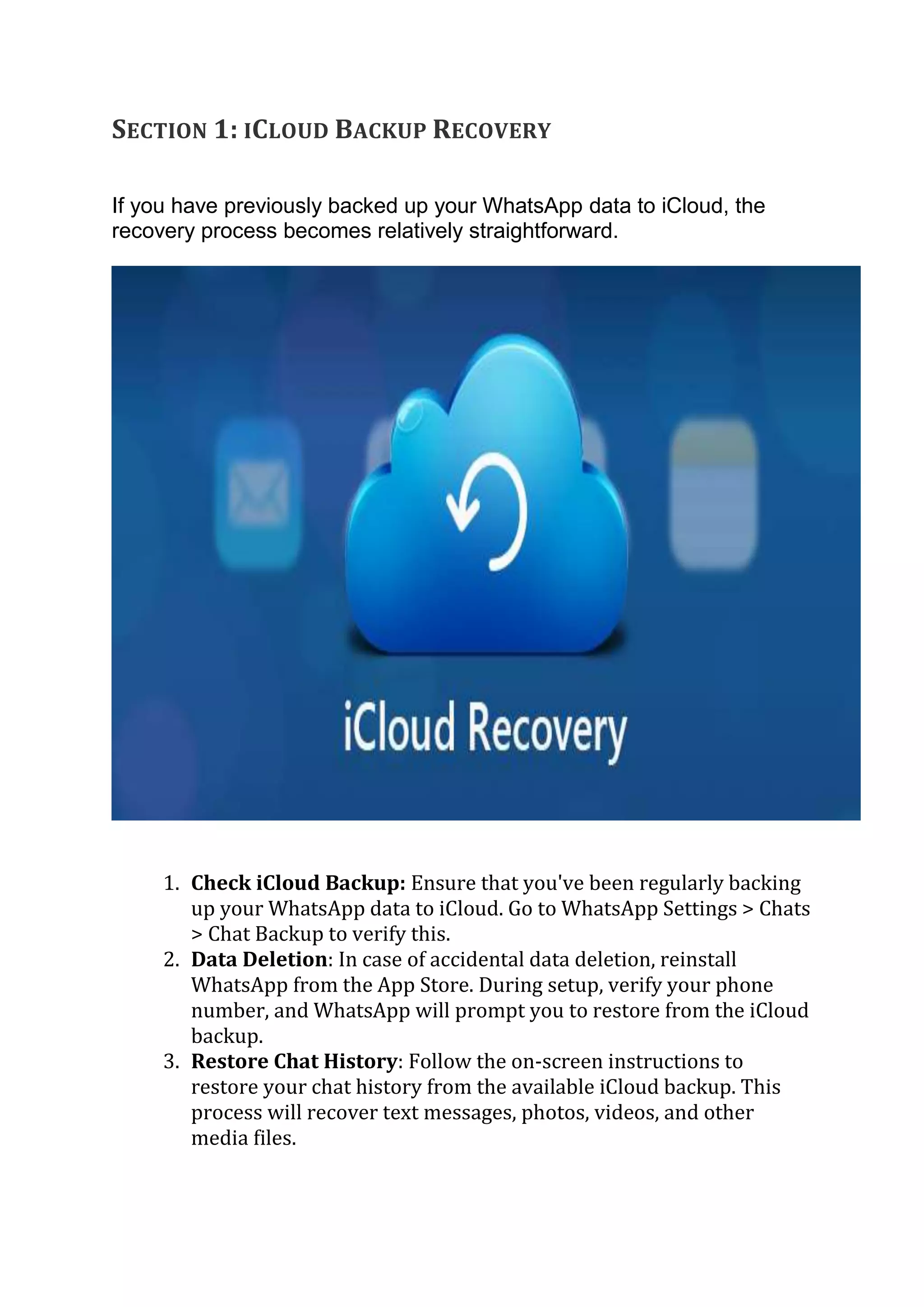 WhatsApp Data Recovery by APN IT Experts | PDF