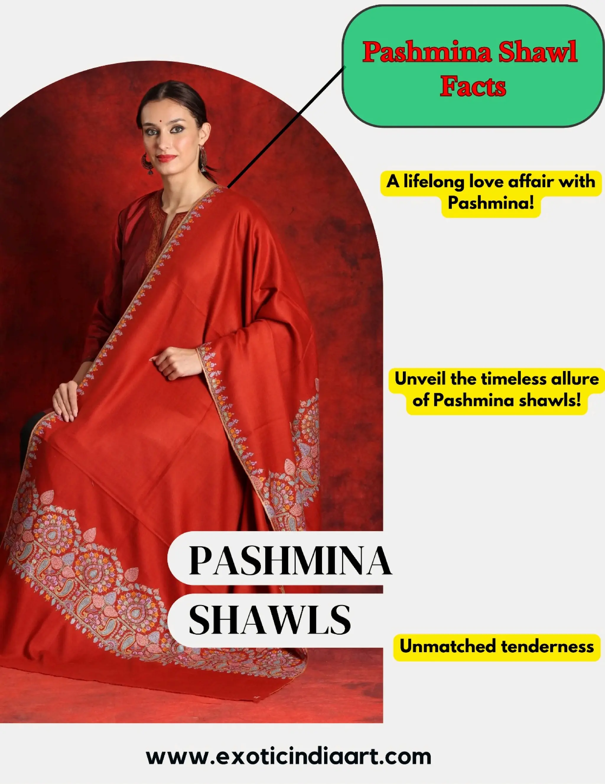 Pashmina Shawls Facts - Embrace the epitome of warmth and style ...