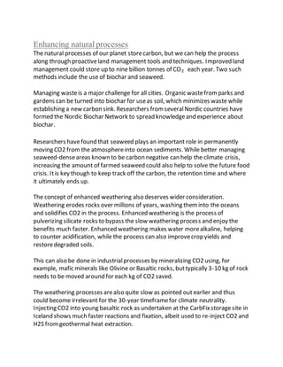 Carbon Negative Technology | DOCX