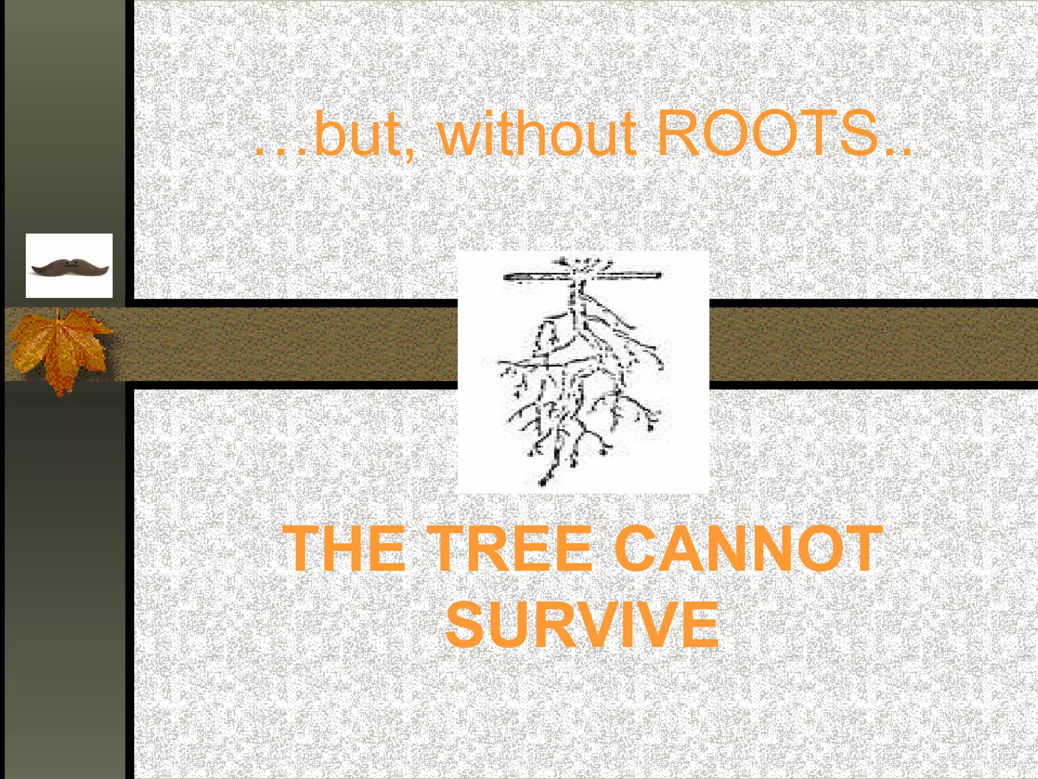 What’S Genuine Financial Planning | PPT | Free Download