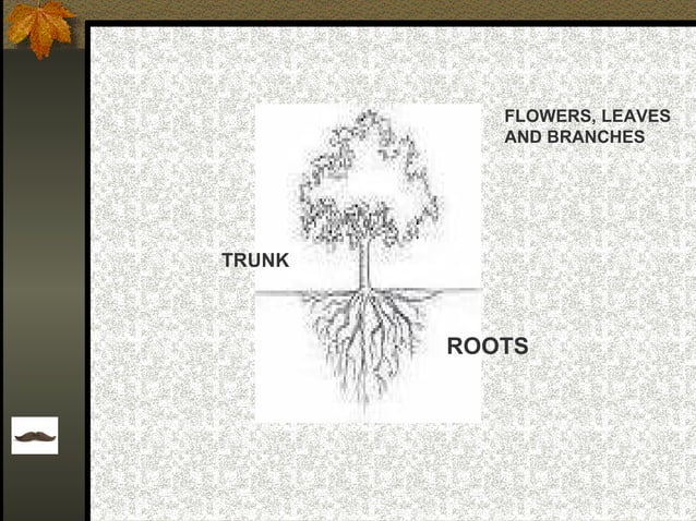 What’S Genuine Financial Planning | PPT | Free Download