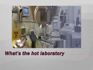 Whats hot laboratory | PPTX