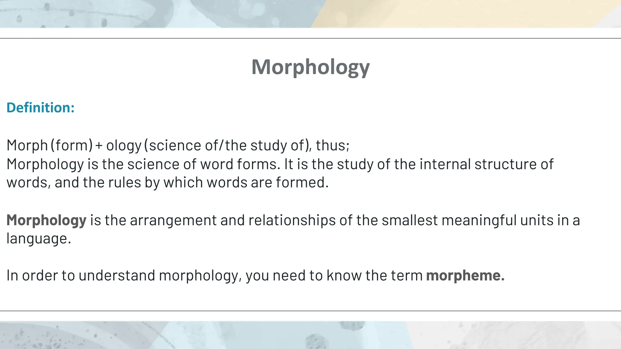 what's morphology.pdfwhat's morphology what's morphology | PDF
