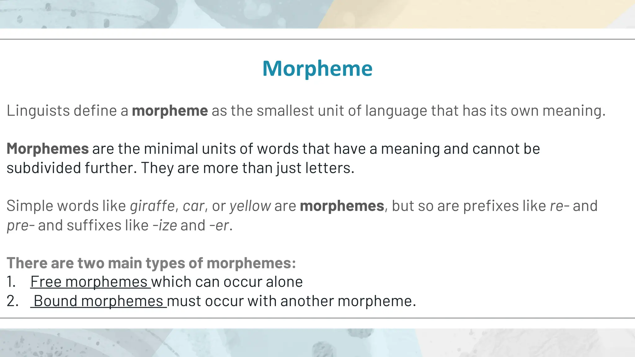 what's morphology.pdfwhat's morphology what's morphology | PDF