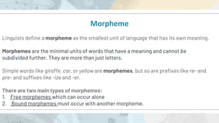what's morphology.pdfwhat's morphology what's morphology | PDF
