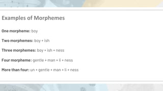 what's morphology.pdfwhat's morphology what's morphology | PDF