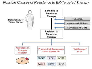 What's New in Research for ER+ Metastatic Breast Cancer | PPTX
