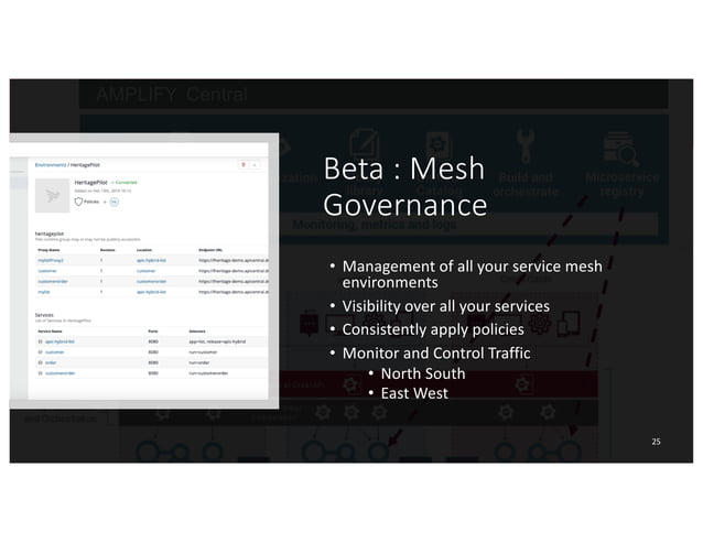 AMPLIFY API and Microservices Management | PDF | Cloud Computing | Internet