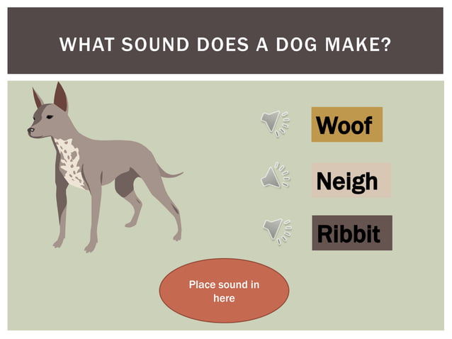 What sound does it make | PPT