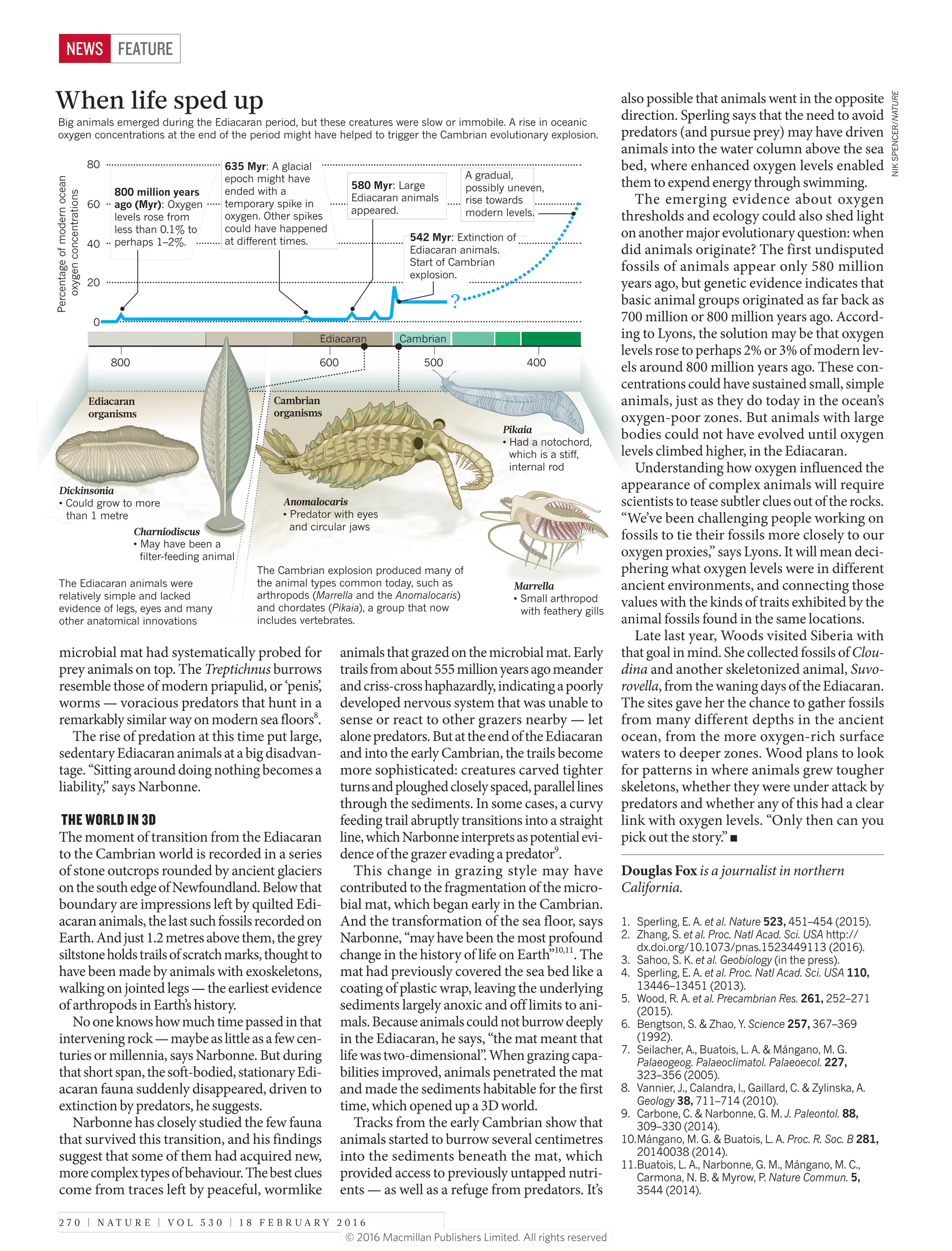What sparked the cambrian explosion 2016 | PDF