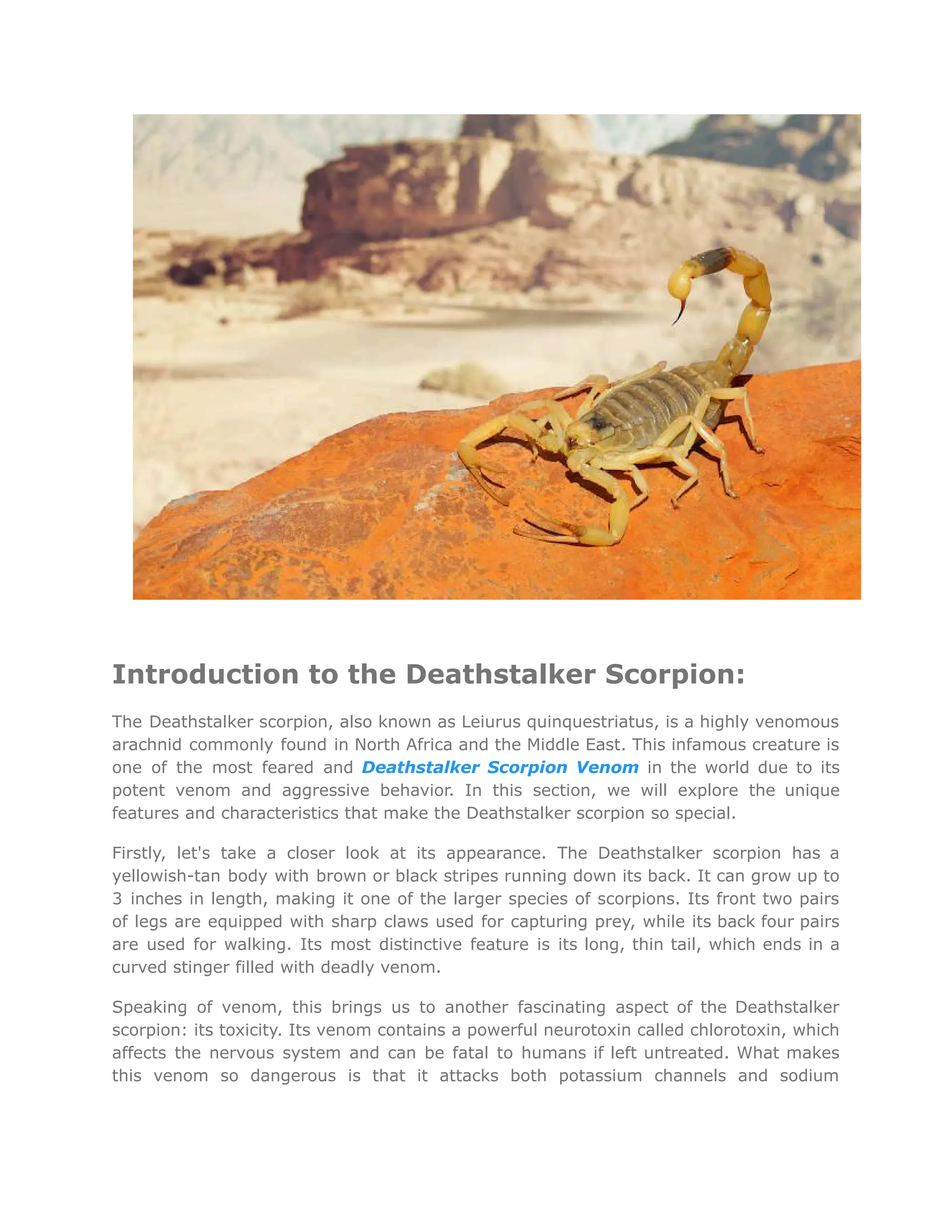 What's So Special About the Deathstalker Scorpion_.pdf