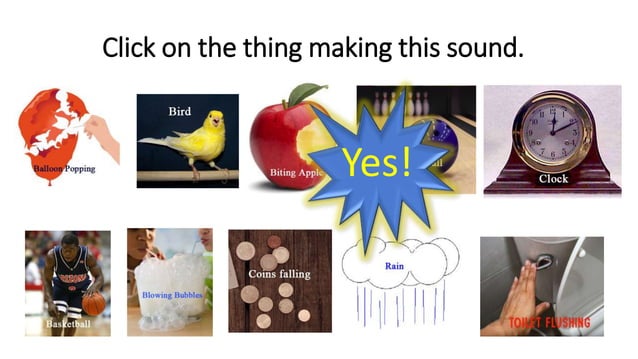 Whats that sound powerpoint | PPTX | Desktop Publishing | Computer ...