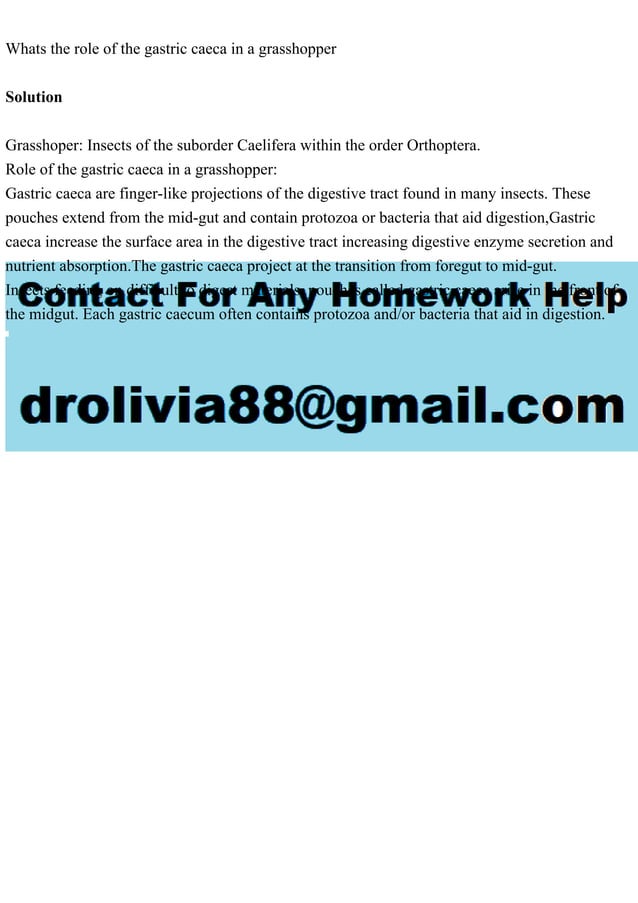 Whats the role of the gastric caeca in a grasshopperSolutionGr.pdf