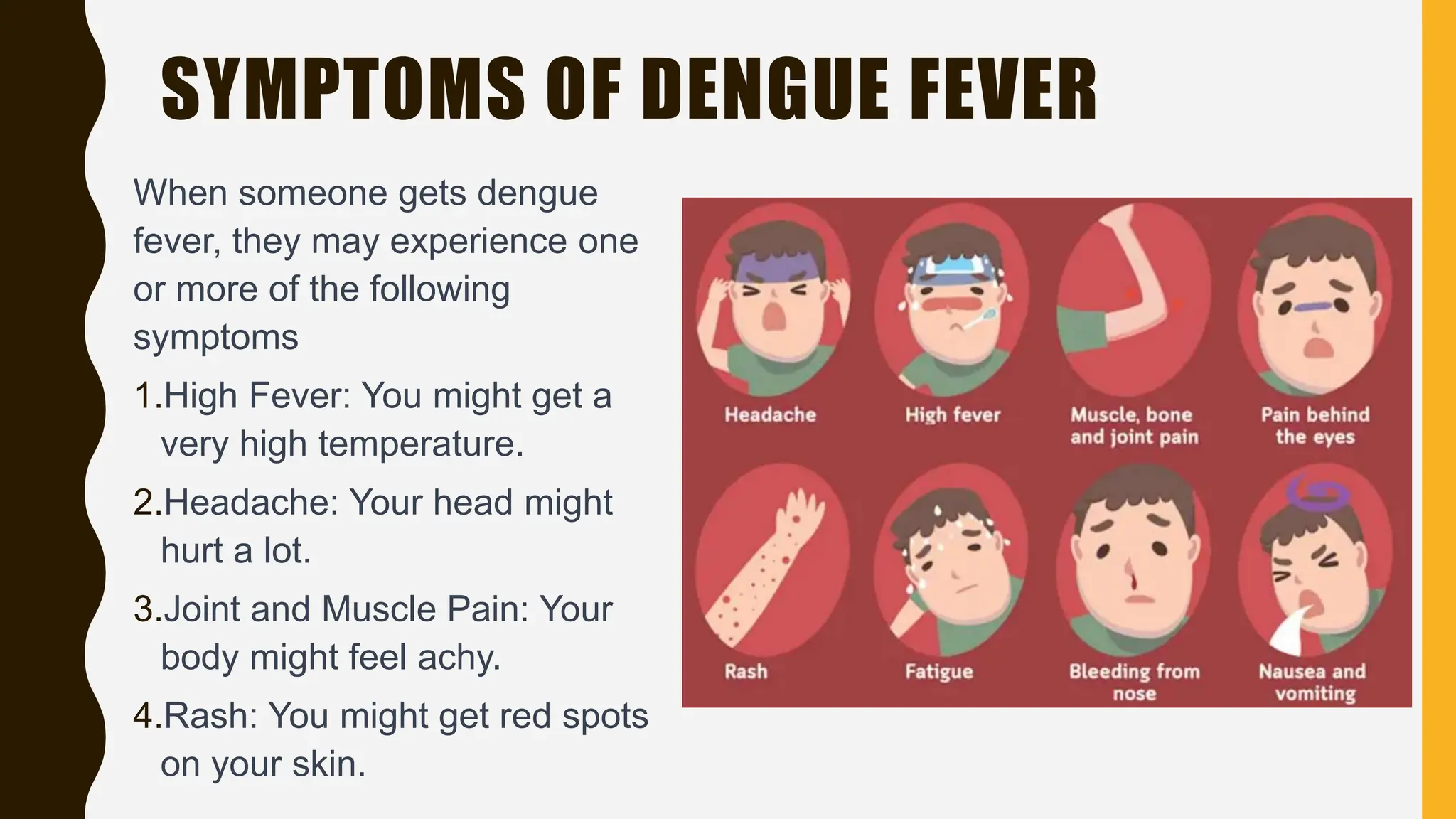 Dengue Fever what are the causes and Prevention | PPTX