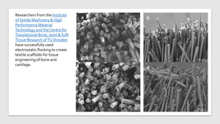 What the flock!? | PPT