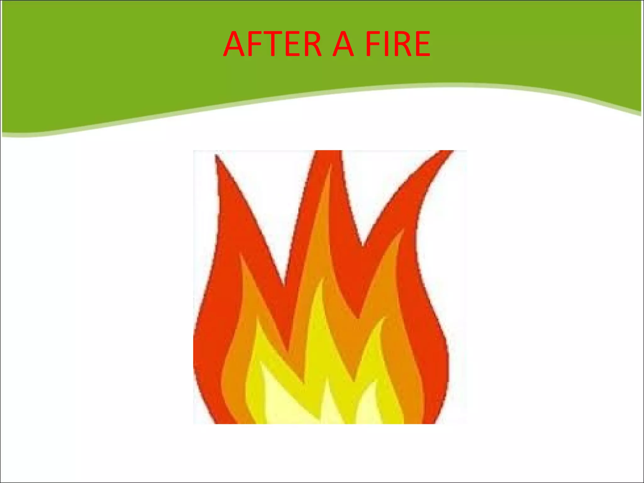What to do before,during & after disasters | PPT